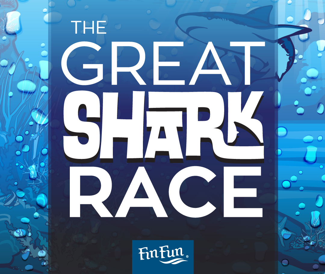 The Great Shark Race | FinFriends