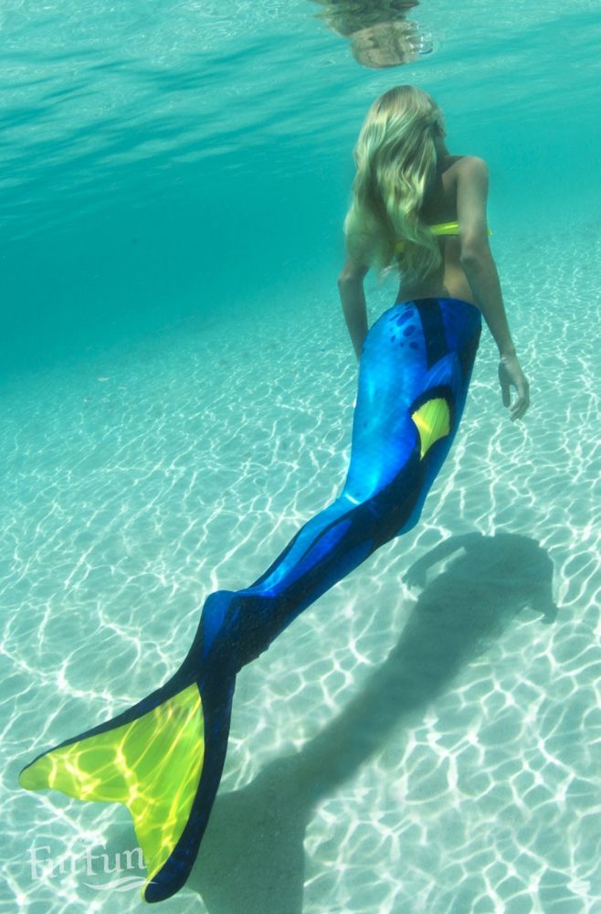 Blue Tang Mermaid Tail – FinFriends