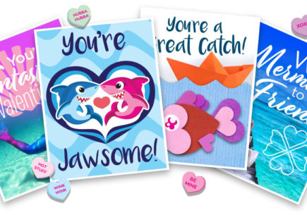 March Fin Fun Wallpapers | FinFriends