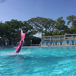 Mermaid Mania MerCouncil Winners – FinFriends